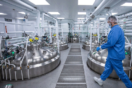 Case Study: Zendal Group